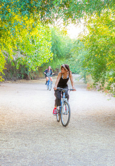 Our Story - Discover Gilbert