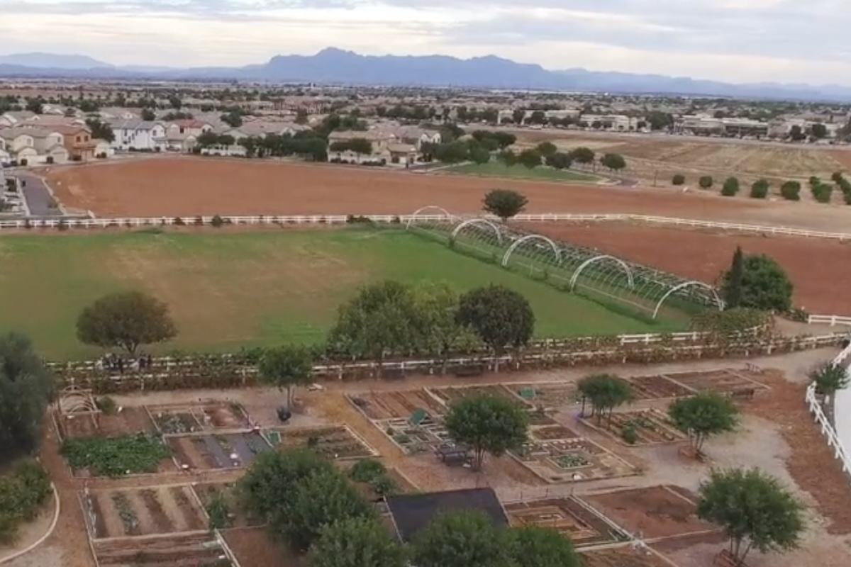 The Farm Store - Discover Gilbert