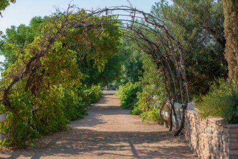 Agritopia Farm - Discover Gilbert