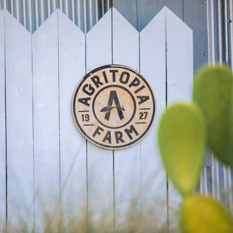 Agritopia - Discover Gilbert