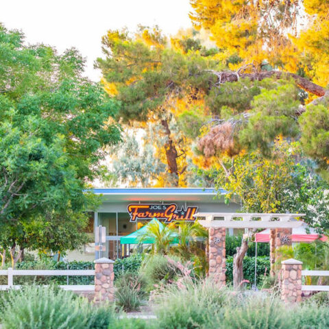 Agritopia - Discover Gilbert