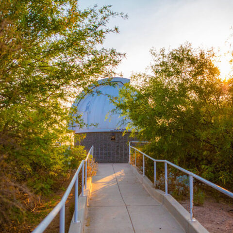 Riparian Preserve at Water Ranch - Important Bird Area - Discover Gilbert