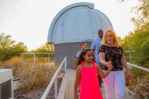 Riparian Preserve at Water Ranch - Important Bird Area - Discover Gilbert