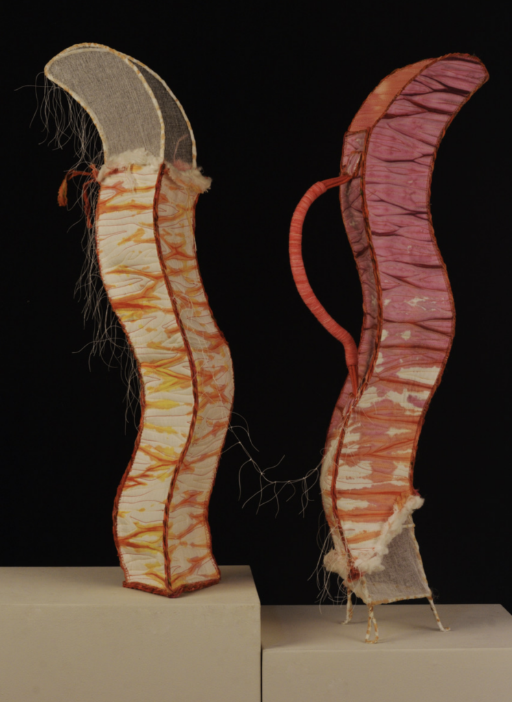 SPLIT: Threads of Fracture and Connection-Susan Allred - Discover Gilbert