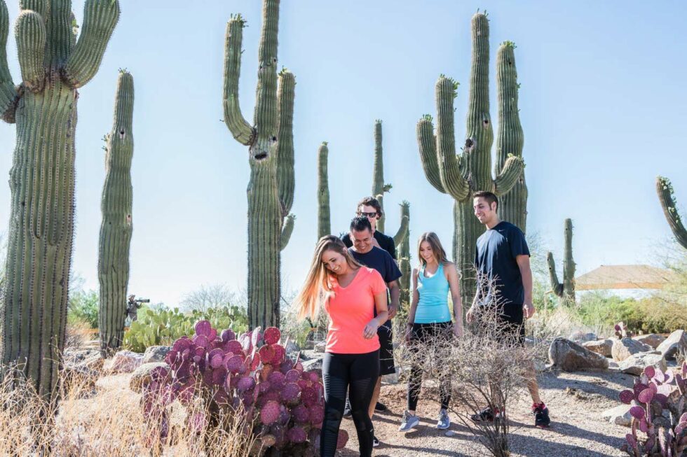 Riparian Preserve at Water Ranch - Important Bird Area - Discover Gilbert